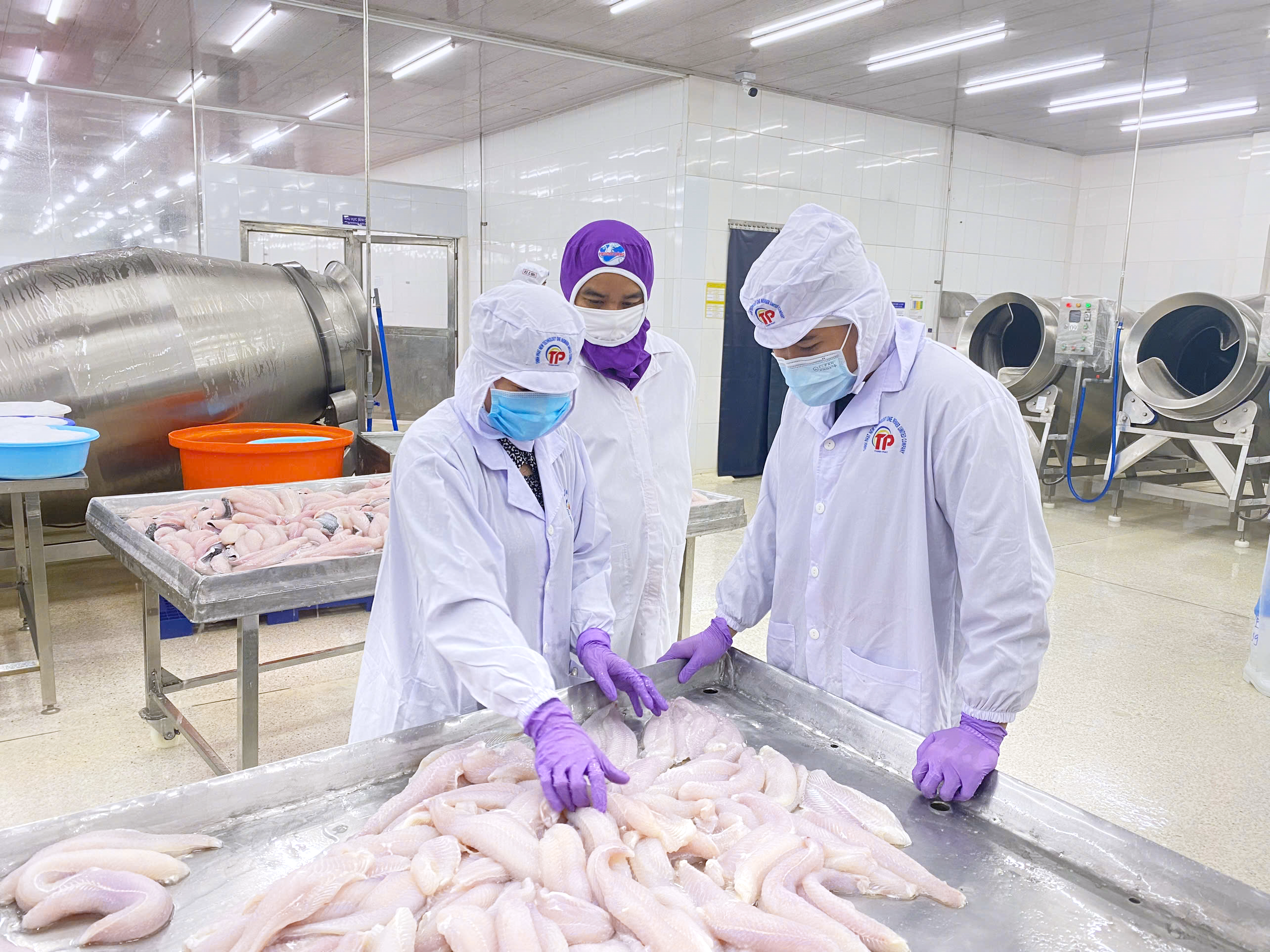 Breakthrough in Seafood Processing Additives: New Tech Solutions from ...